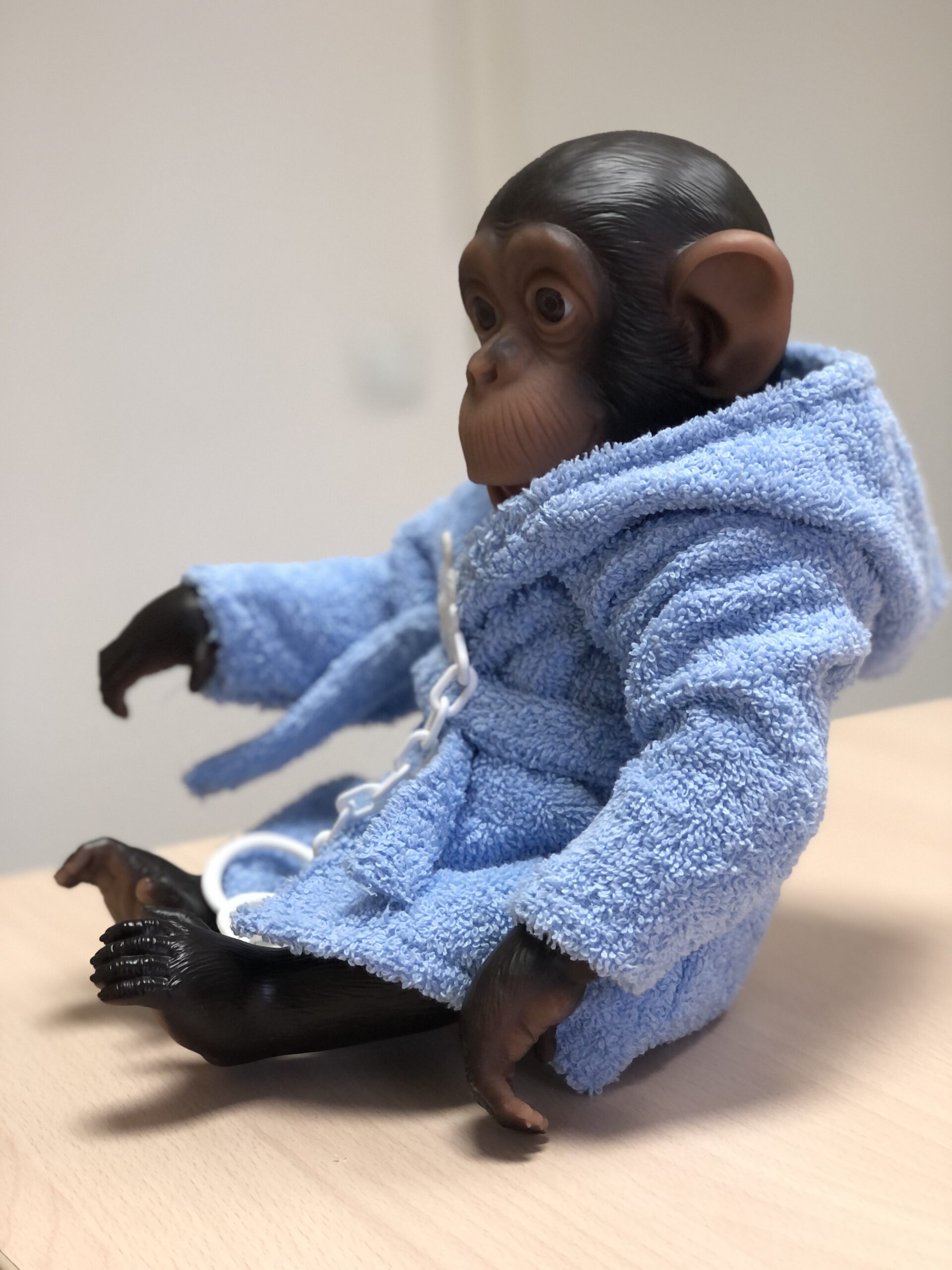 Baby Chimp - Sandra Dolls