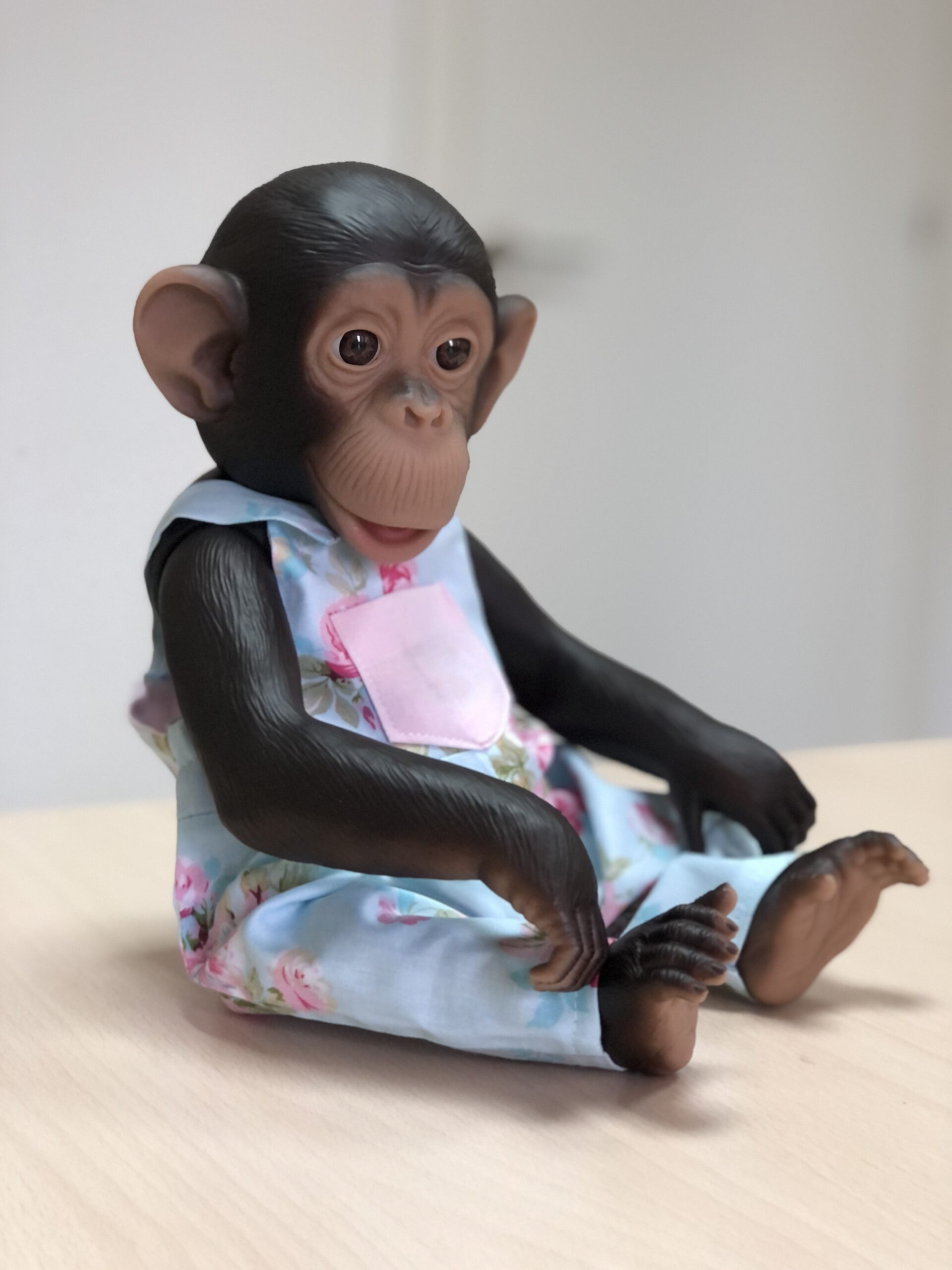 Baby Chimp - Sandra Dolls