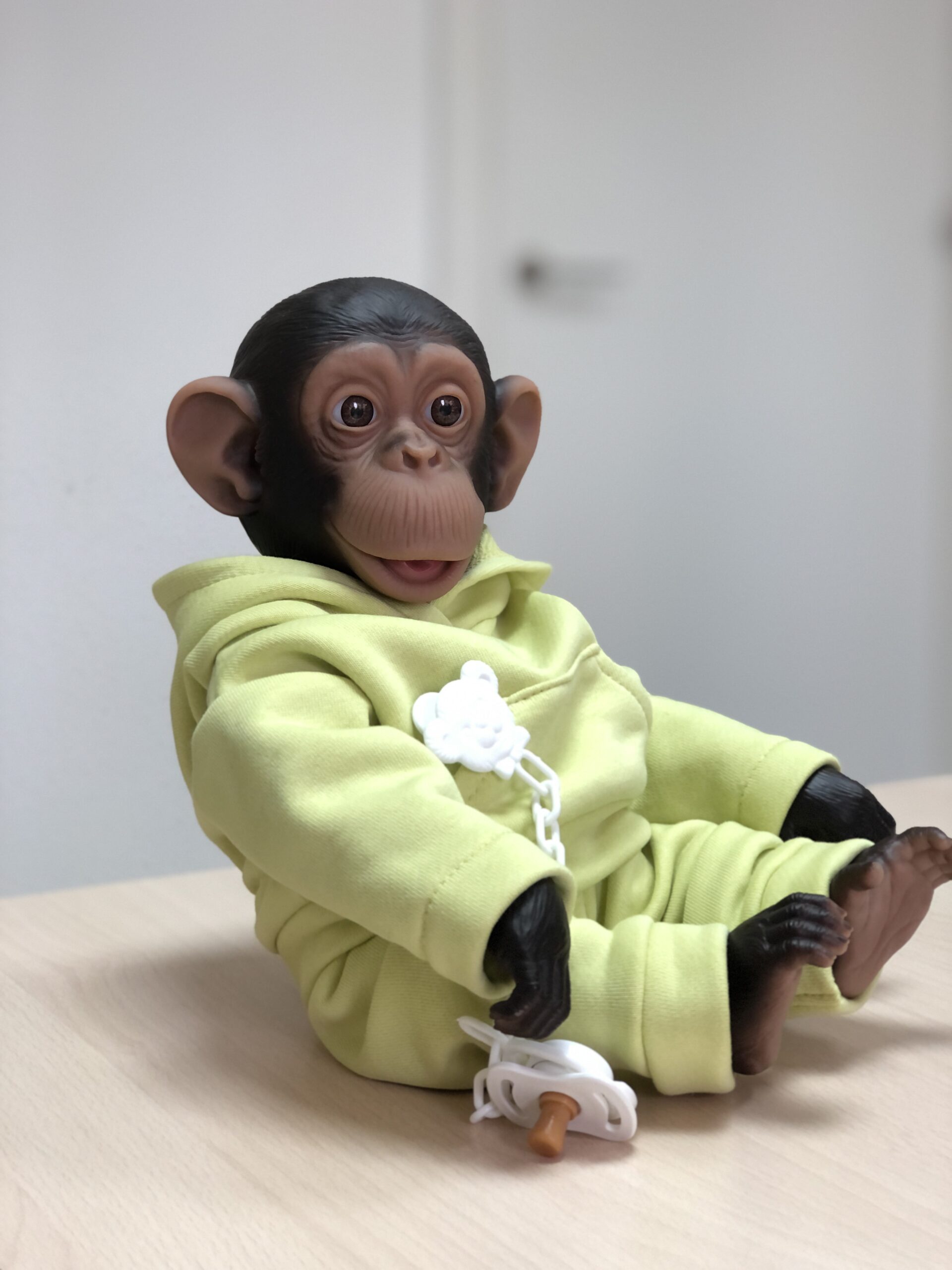 Baby Chimp - Sandra Dolls